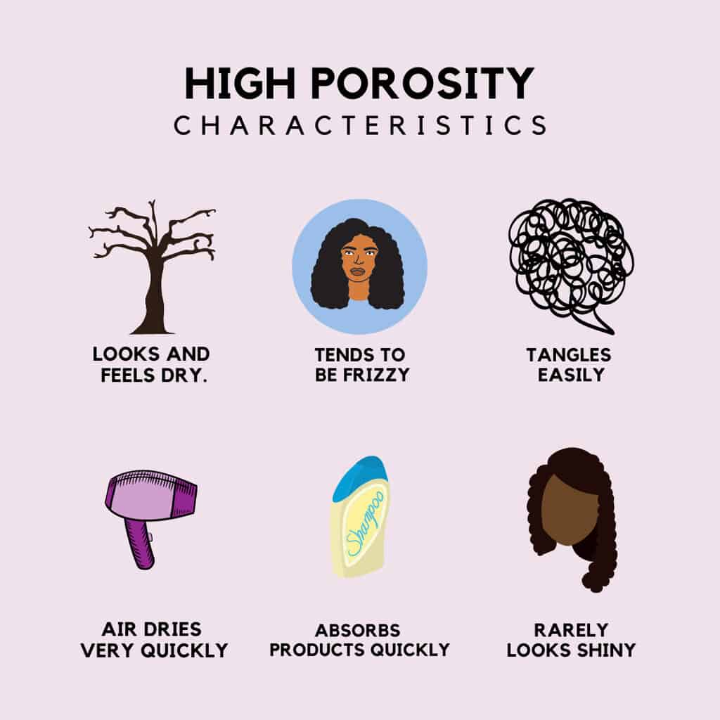 Low vs High Porosity Hair: What's The Difference?